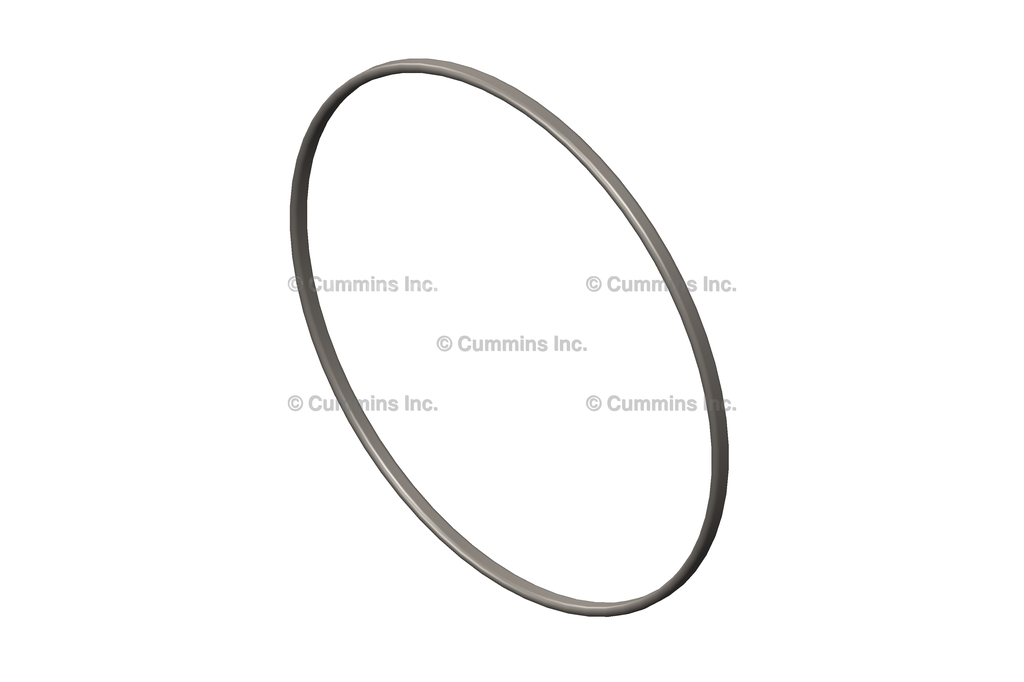 3907177 SealRectangular Ring