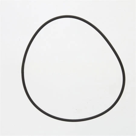 4299125CUM SealO Ring