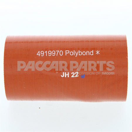 4919970CUM HosePlain