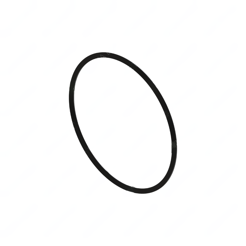 DDE A4720150980 O-RING, FLYWHEEL HOUSING COVER PLATE