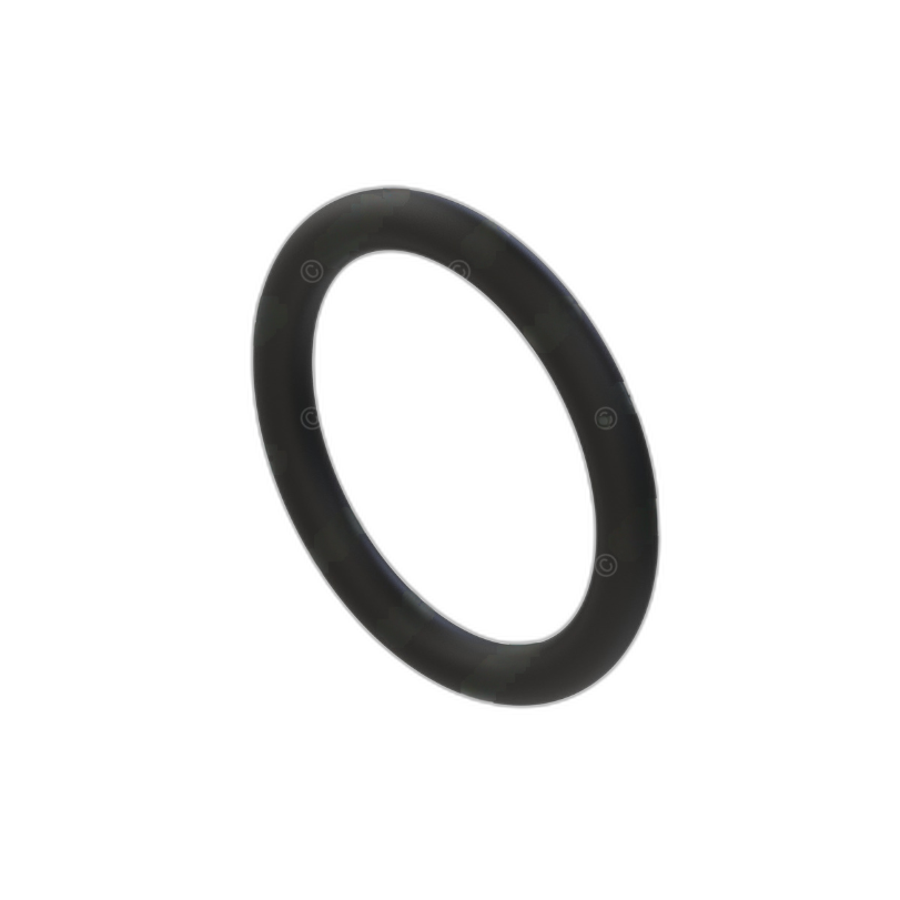 DDE A5419970545 SEAL RING