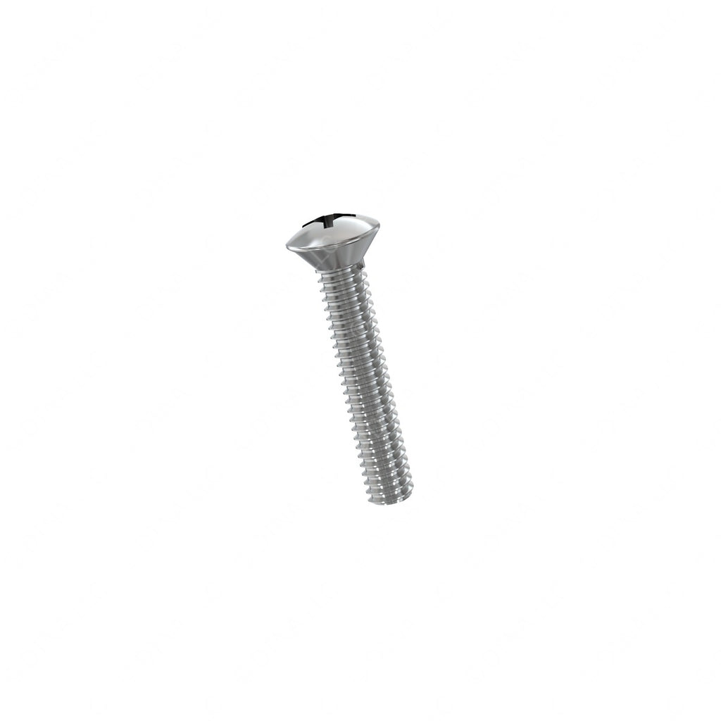 WWS 4009-3419 SCREW,.25-20X1.50 OV